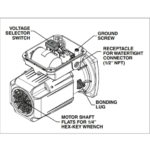 How to Replace Bearings in Your Pentair WhisperFlo Pool Pump Motor ...